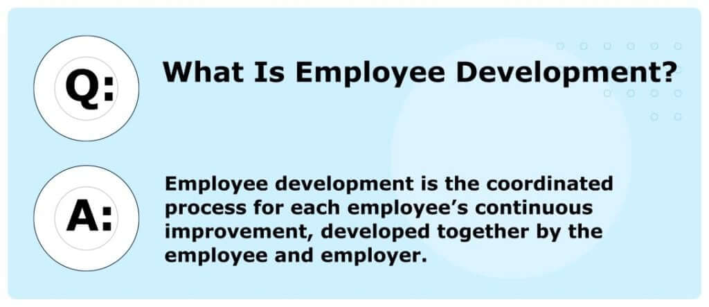 Types of Employee Development - Milestone